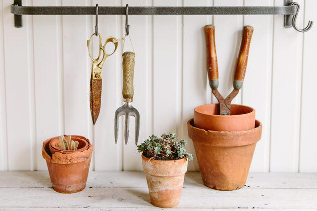 How to clean and sharpen garden tools so they last longer and don't ...