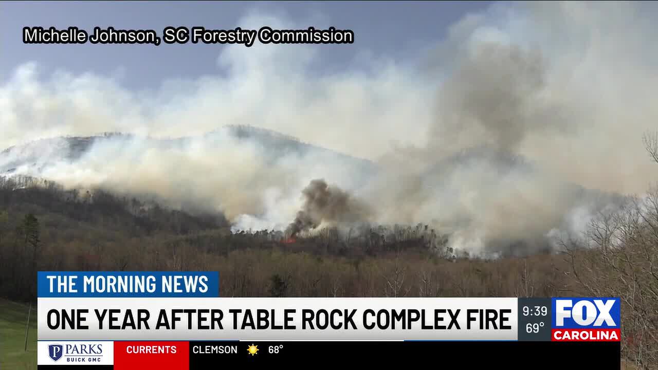 One year later: Upstate looks back on Table Rock wildfire, shares ...