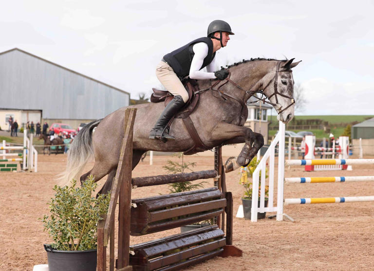 Horse Week: Derby and Balmoral qualifiers held at Lusk's