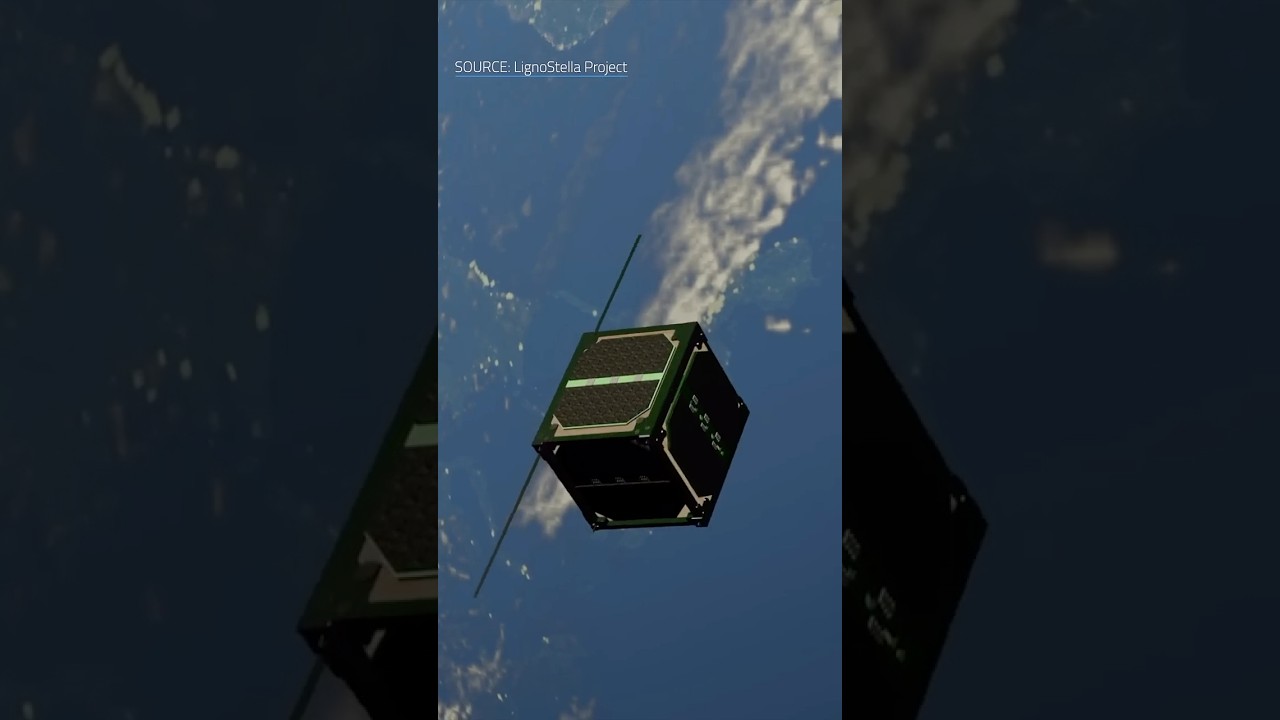 The world’s first wooden satellite?