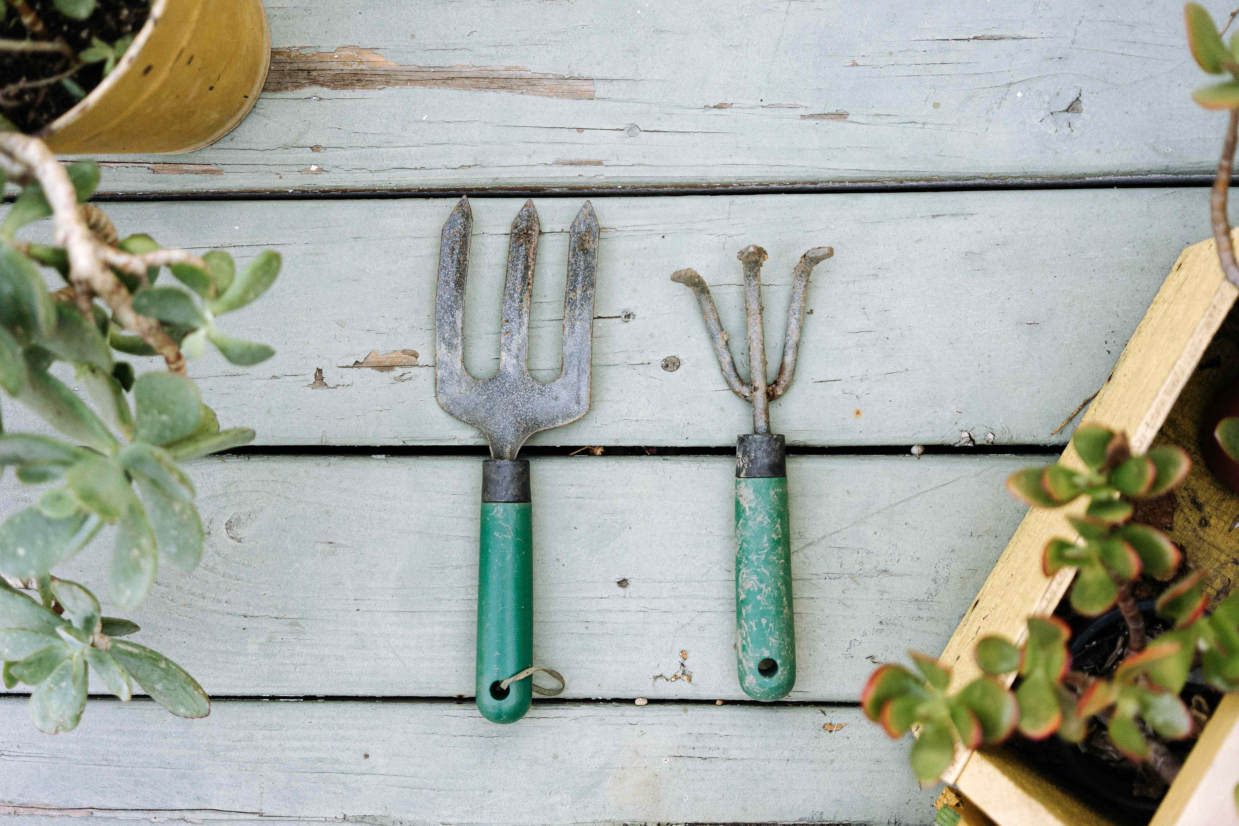 How to clean and sharpen garden tools so they last longer and don't ...