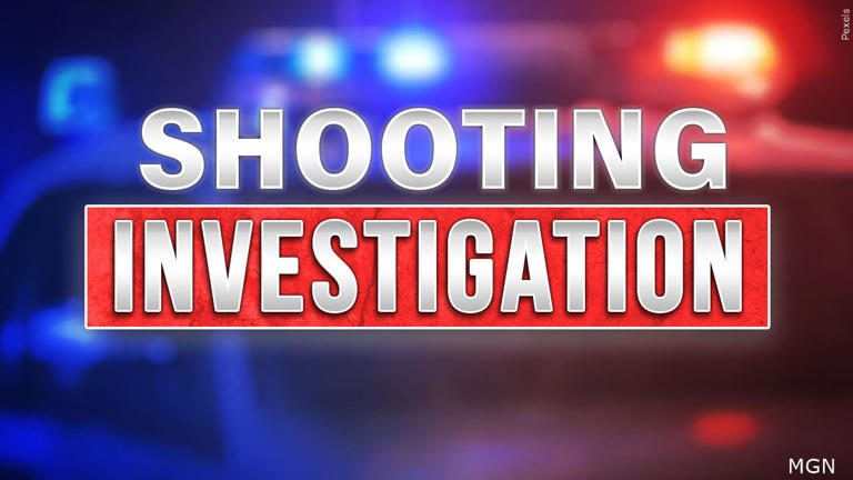 1 injured in Sunday shooting in Lanett