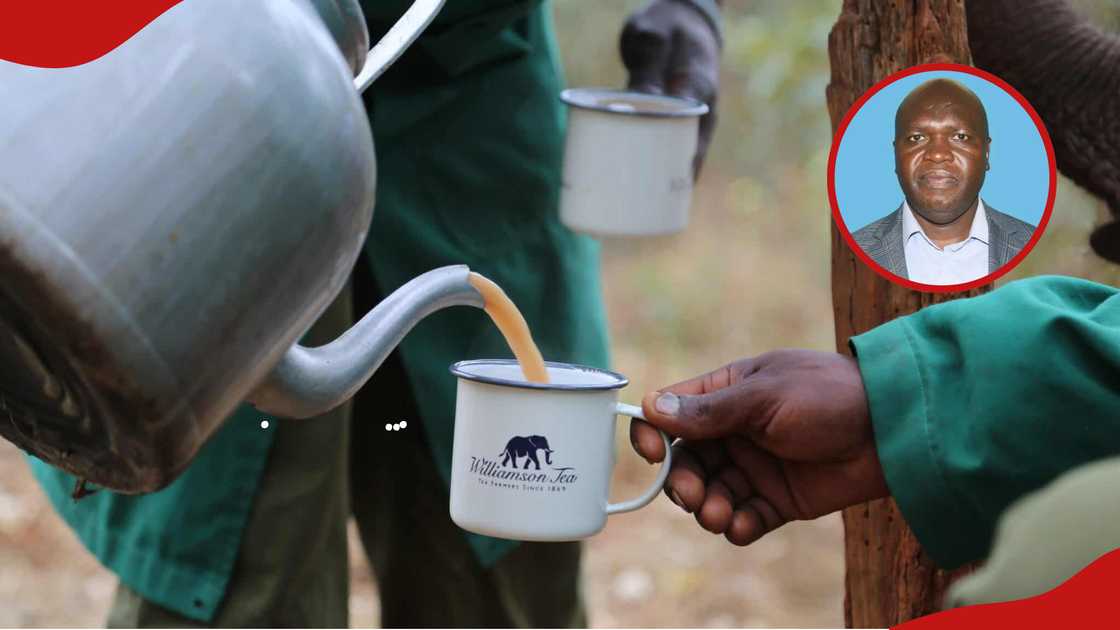Angus Omete: Kenyan man rises from intern to CEO of company with KSh 5 ...