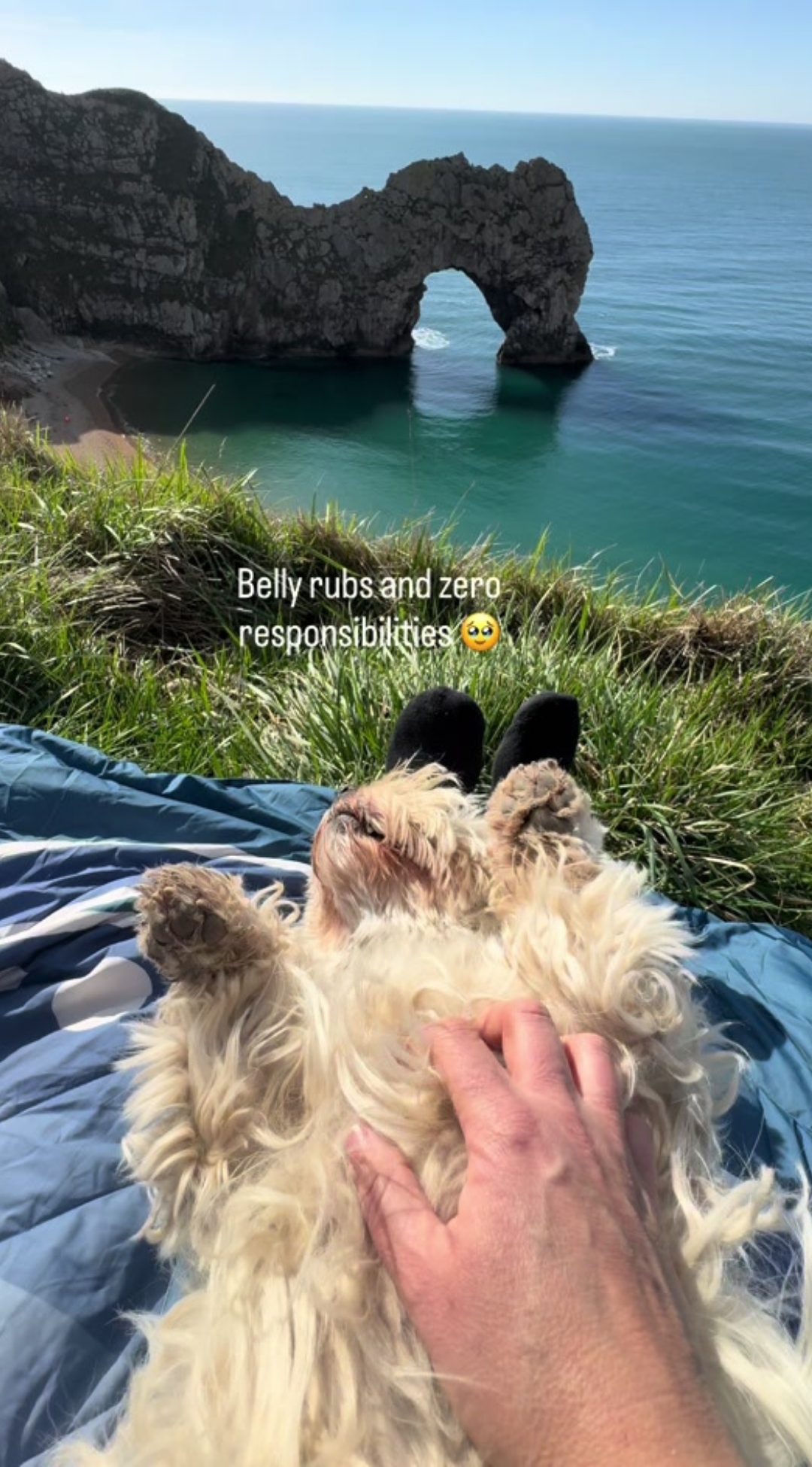 This dog’s life might be better than ours