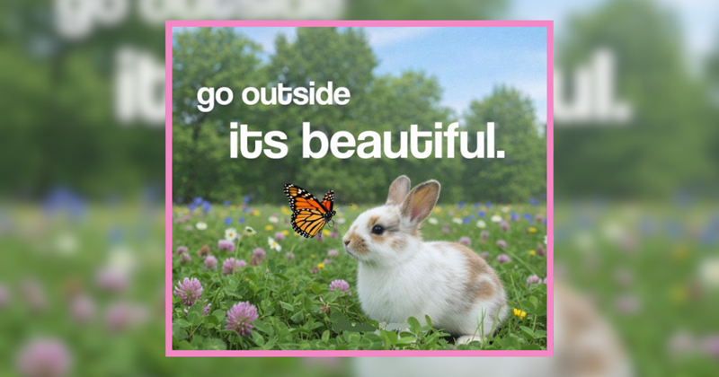 A pre-Easter egg hunt of adorable animal memes