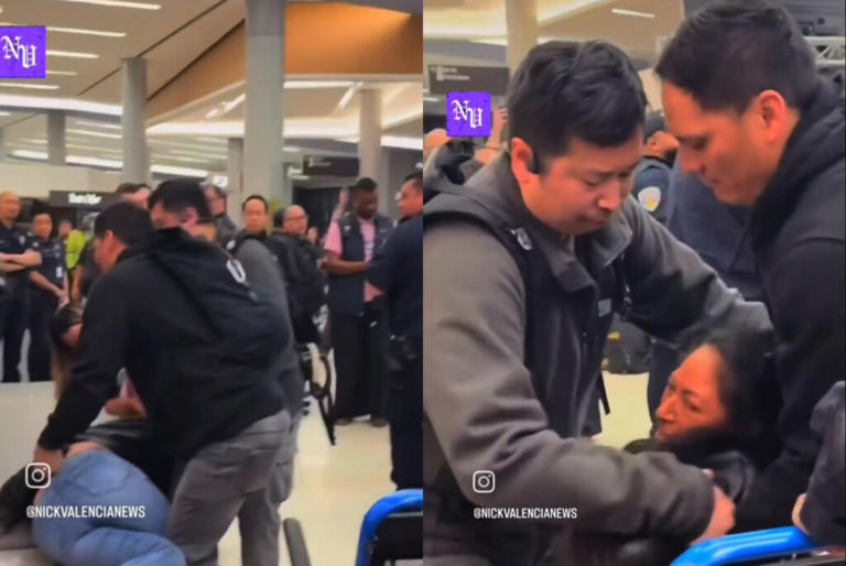 ICE agents caught on camera arresting woman who was traveling with her ...