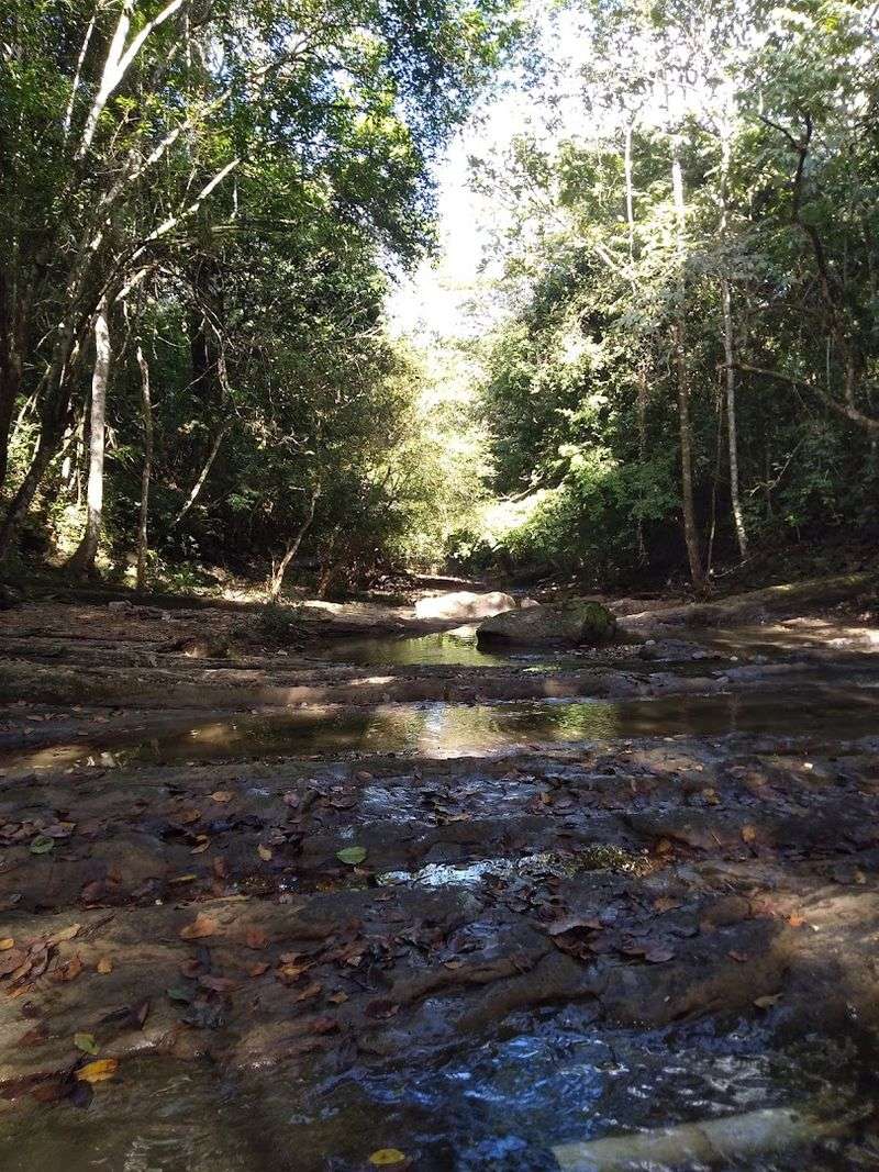 15 dangerous and remote jungles that test human endurance