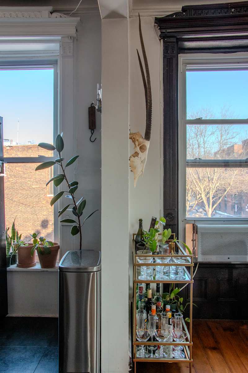 This 1899 Brooklyn brownstone apartment has windows in every room (and ...