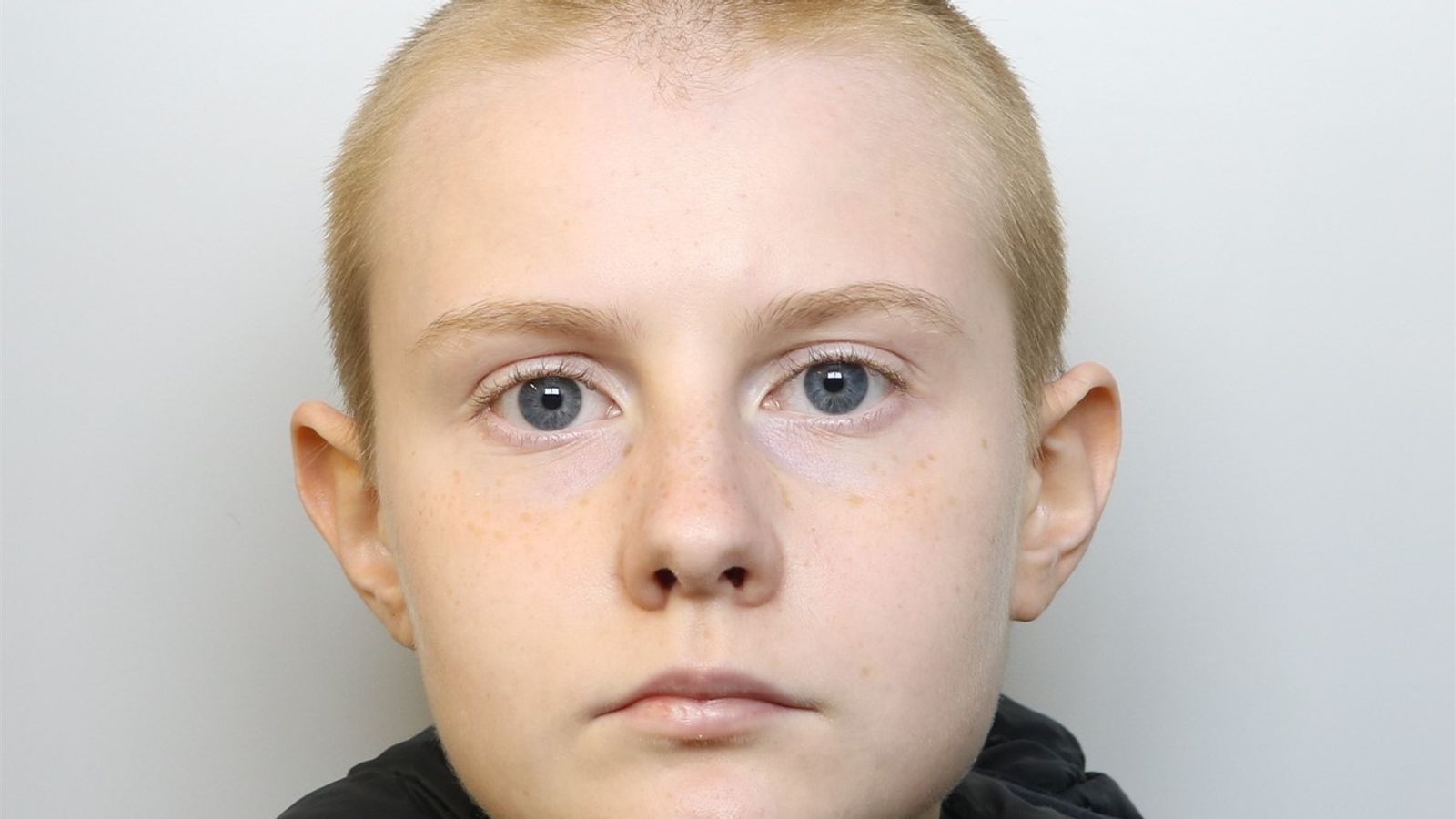 Nazi-obsessed teen described herself as 'embodiment of hell' before ...