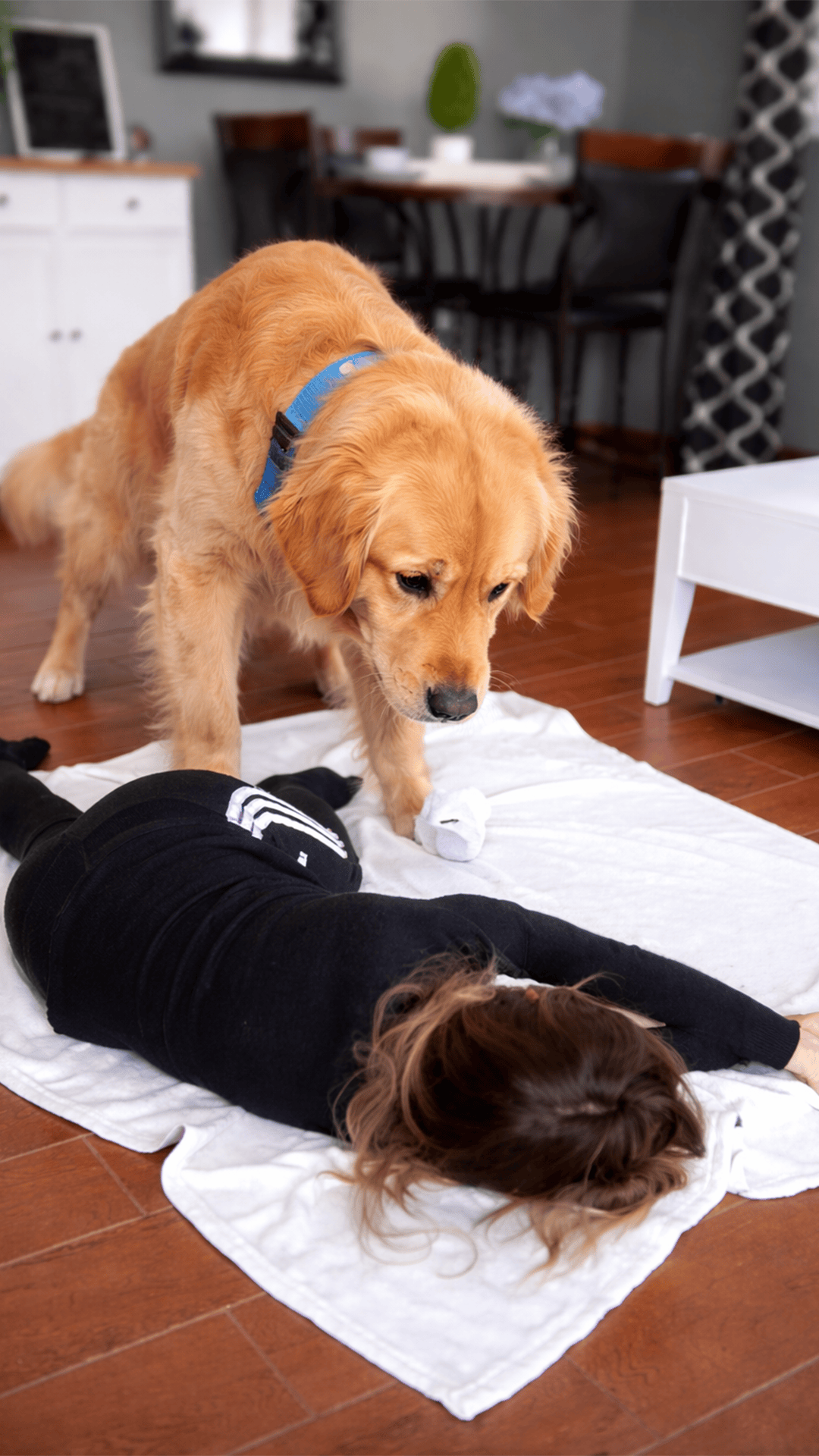 I pretended to collapse in front of my dog