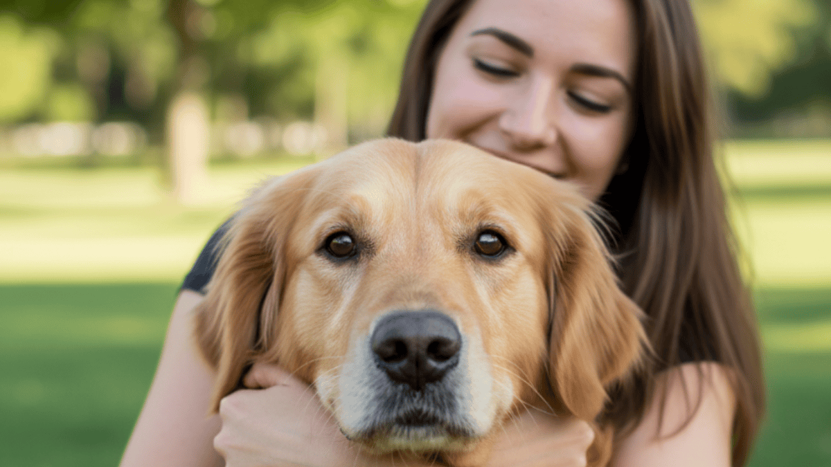 You think you're showing love, but your dog actually hates these 10 ...