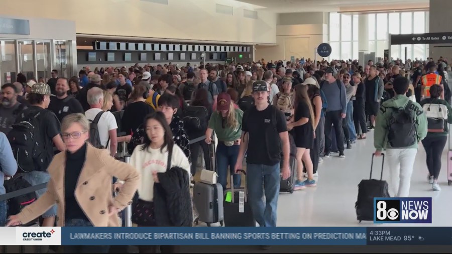 Long waits snarl TSA lines, foil Las Vegas reporter’s homecoming from ...