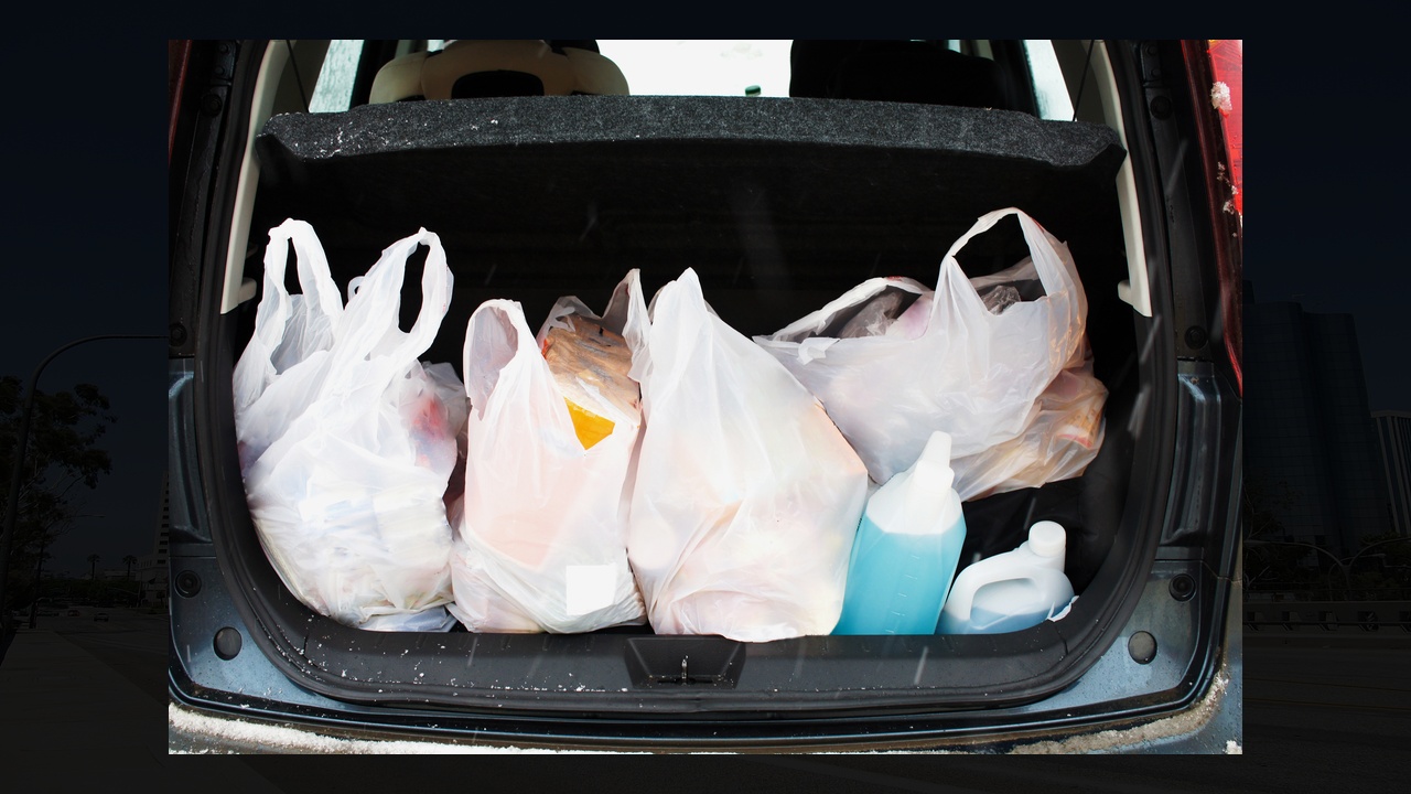 California bans all plastic checkout bags, closing its own loophole
