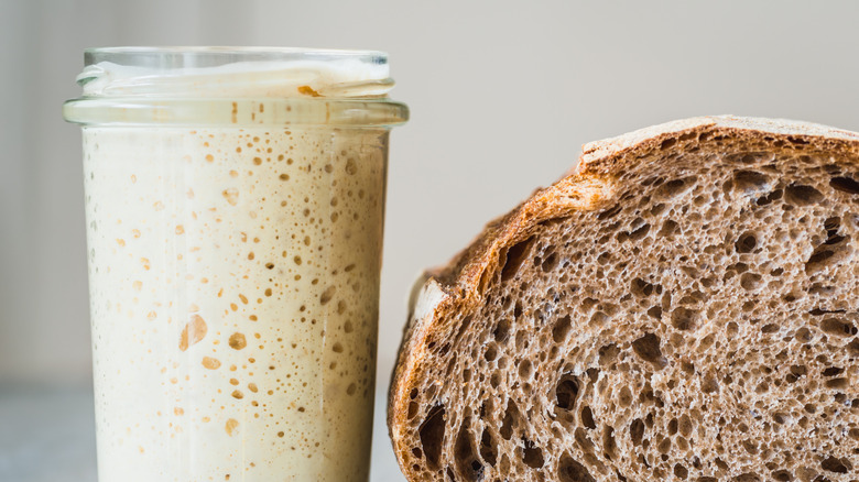 14 common mistakes that are killing your sourdough starter