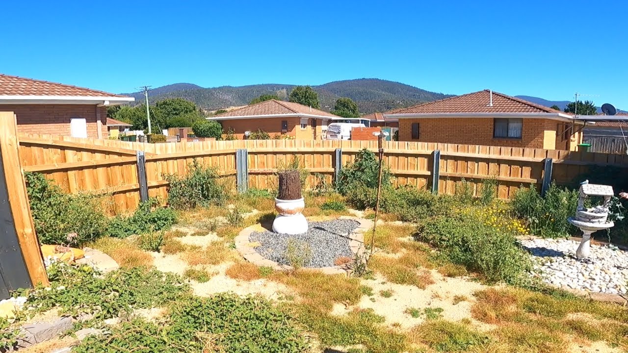 Hospital stay turned her garden into a disaster zone | Full cleanup