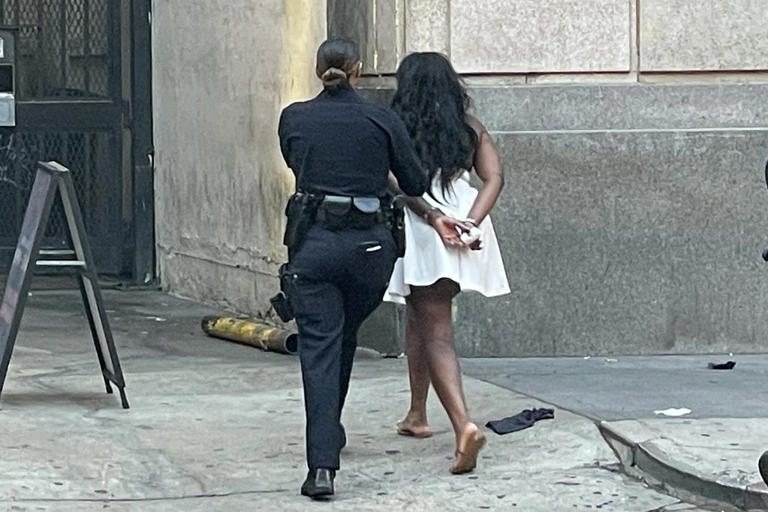 Downtown Los Angeles mass stabbing at Zaya restaurant sparked by fight ...