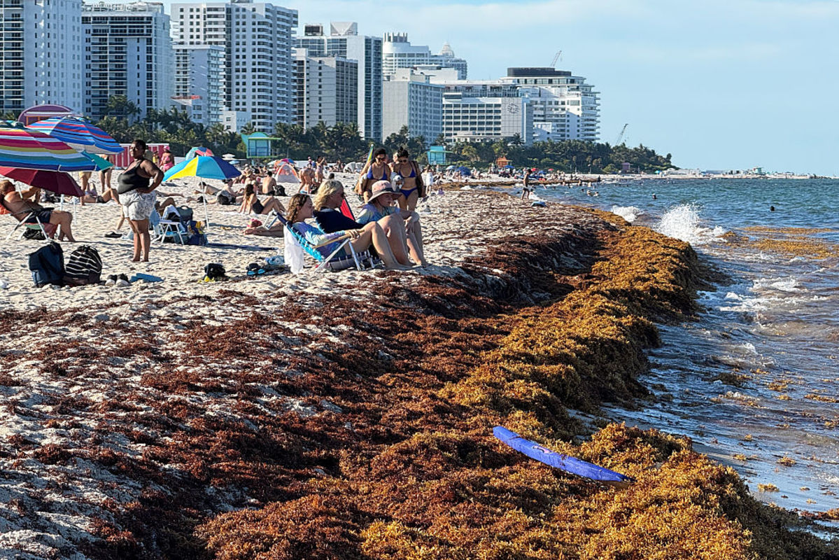 Florida's beaches have a major problem just in time for spring break ...