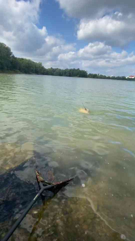 Fishing Highlights Beautiful Catch and Angling