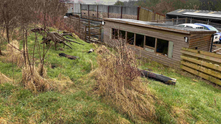 'Most people only encounter badgers with roadkill'