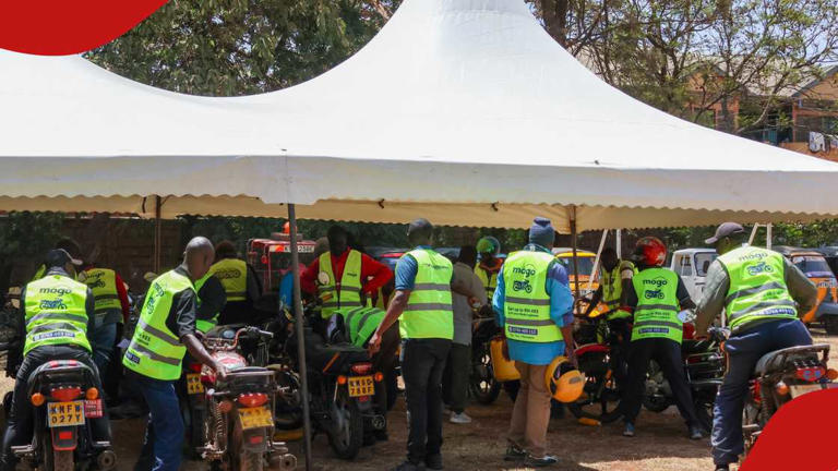 MOGO Ltd announces auction of 60 boda bodas, tuk-tuks from KSh 21k