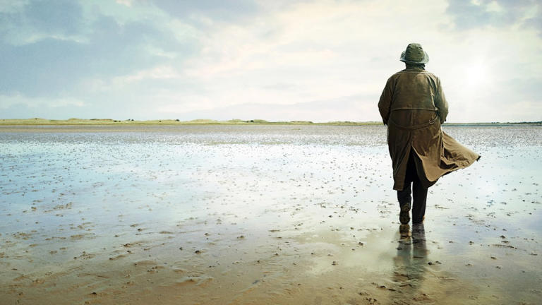 BritBox: Best new shows streaming this week