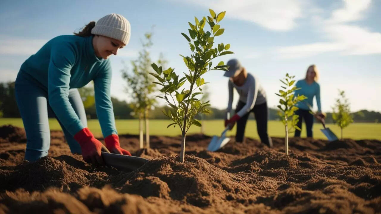 Think planting trees will save the planet from global warming? Science ...