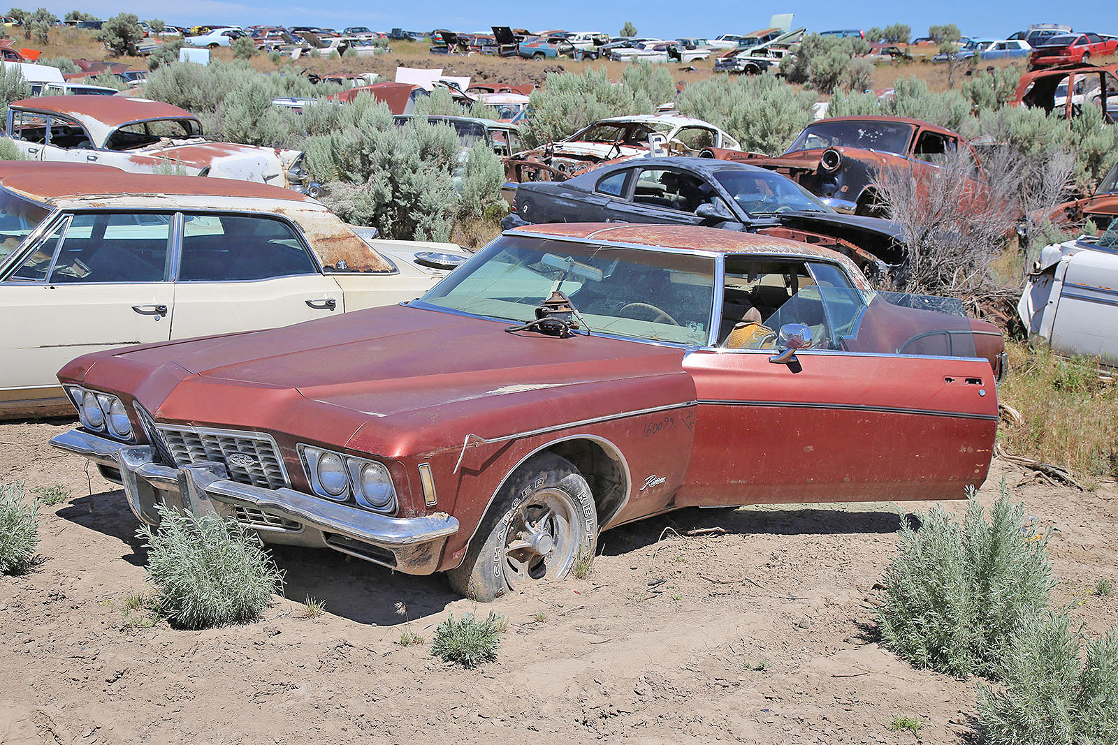 Is this the world's finest car junkyard?