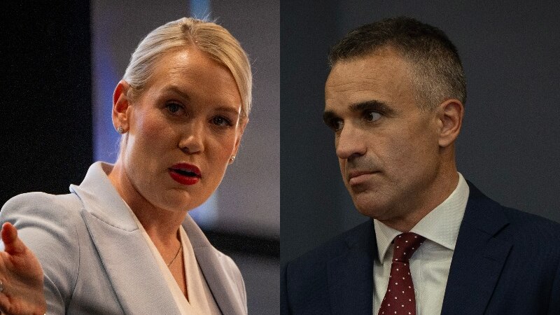 Labor caucus chooses new cabinet ministers as Liberals pledge election ...