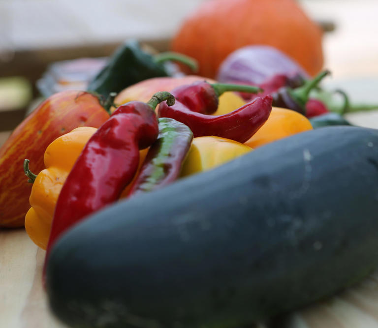 Delaware farm 'memberships' offer a different grocery experience