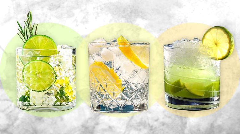 12 little-known facts about the gin and tonic