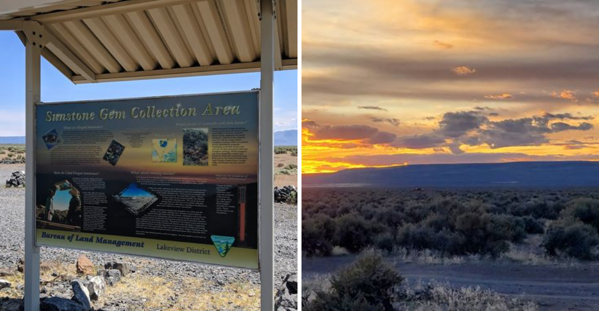 This remote patch of Oregon desert holds a shimmering treasure just ...