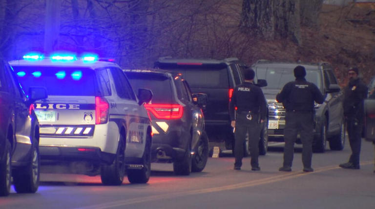 Investigation underway after police shoot person at home in central ...