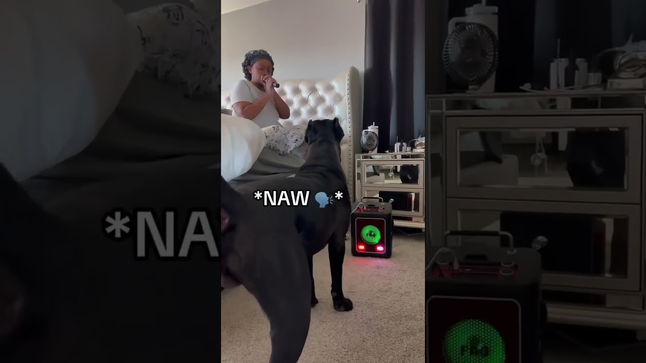 Why every pet owner needs to buy a karaoke machine