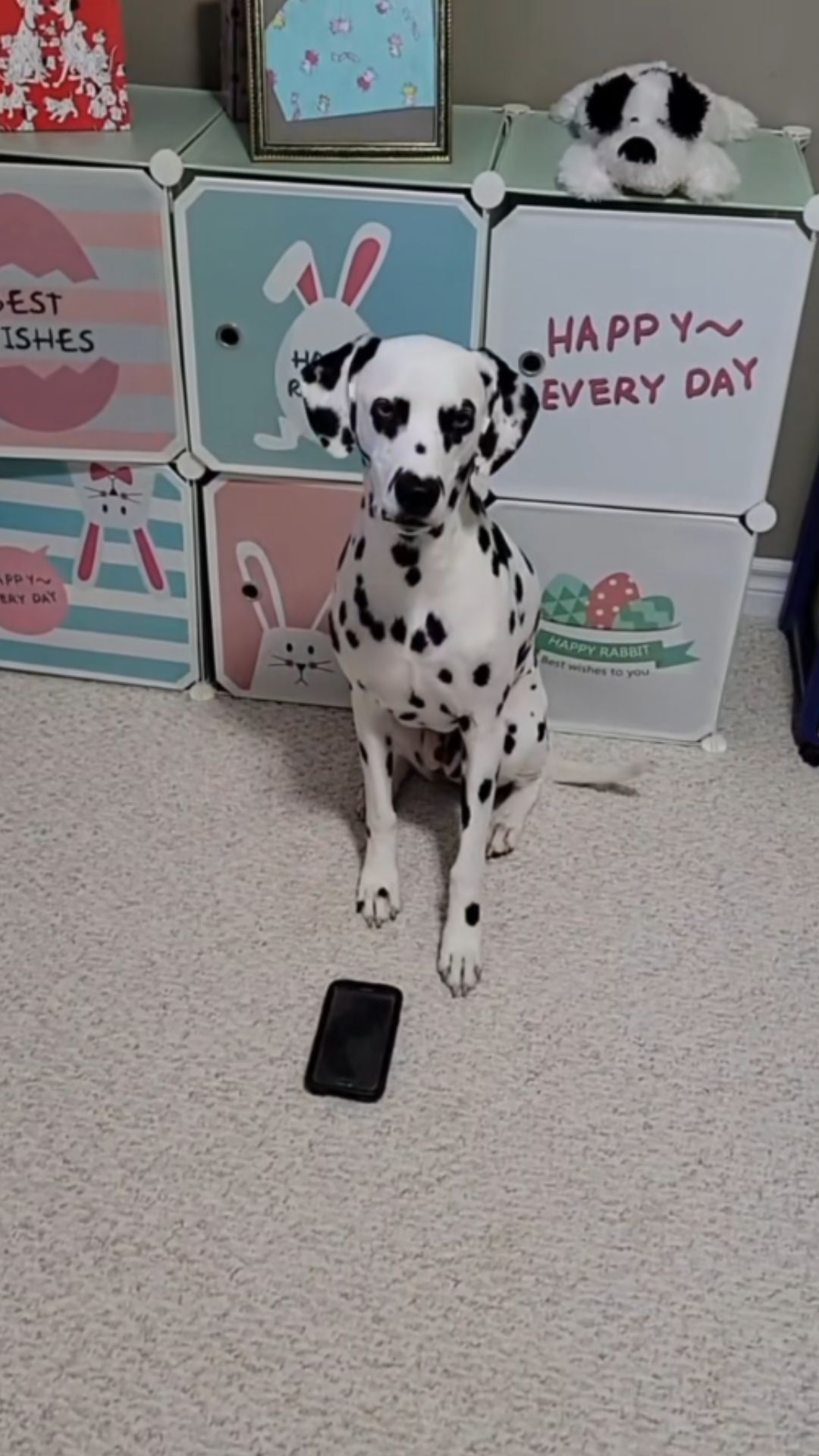 Why this truth about dogs hits every dog lover differently