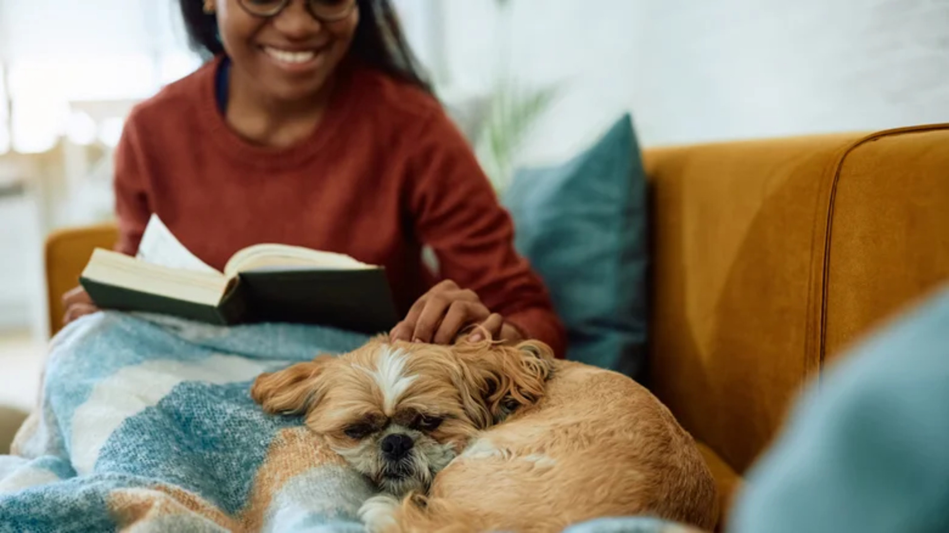 These dog breeds are perfect if you want a chill pet