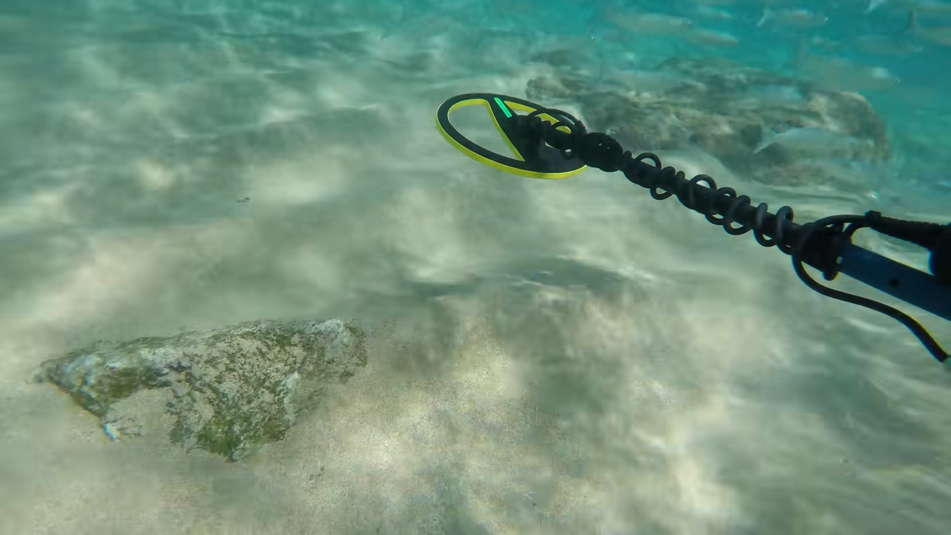 He searched a Puerto Rico cove for lost jewelry - one ring changed the ...