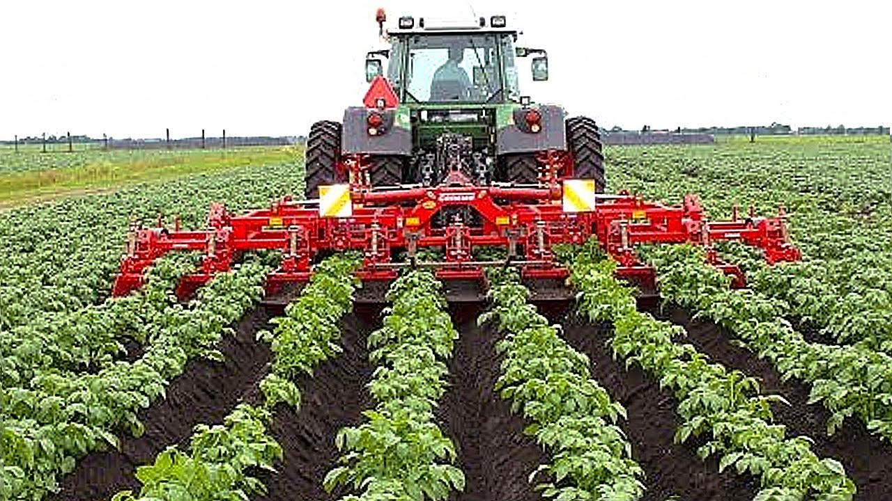 6 incredible machines revolutionizing automated harvesting | Modern ...