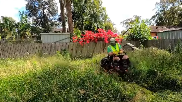Voluntary yard cleanup transforms overgrown lawn with a precise spiral cut