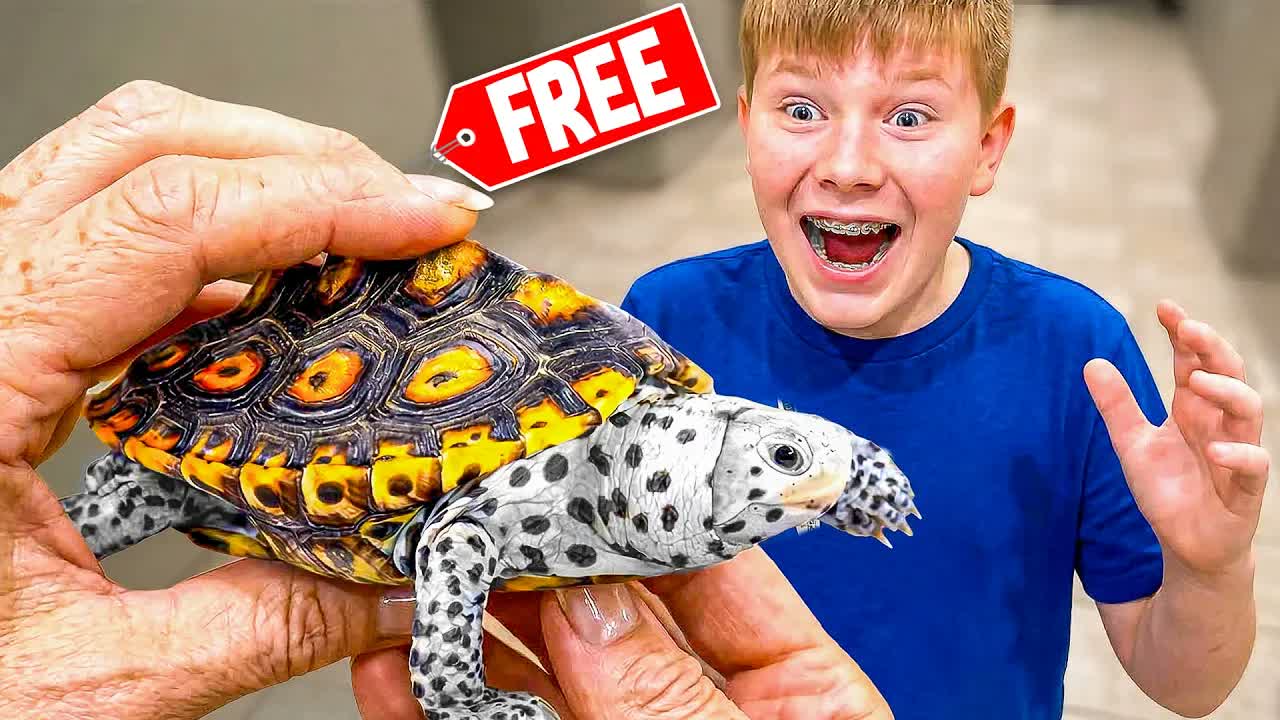 A random kid meets his dream reptile - what happened next
