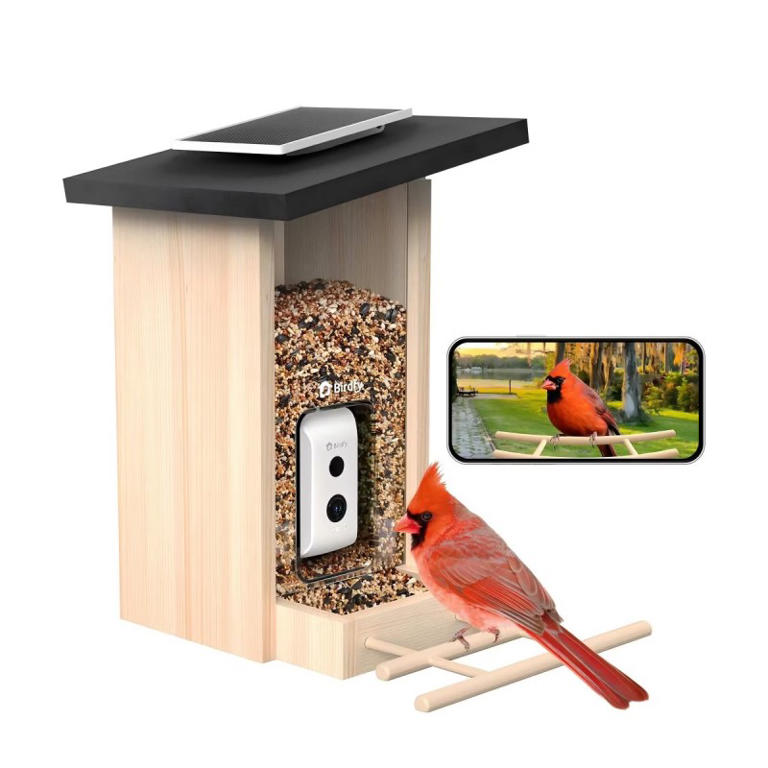 Target has a solar-powered smart bird feeder with an AI bird ...