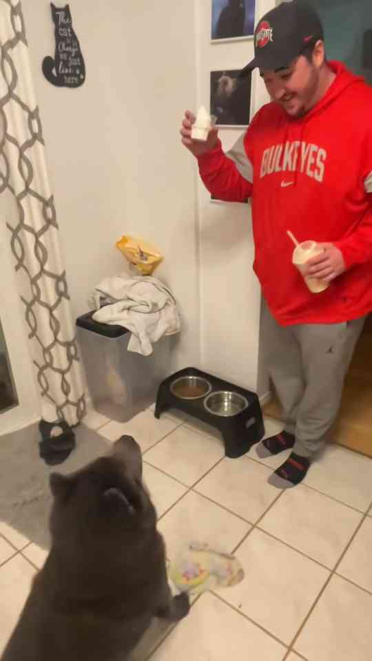 Heartwarming ice cream adventure with Braxton at home