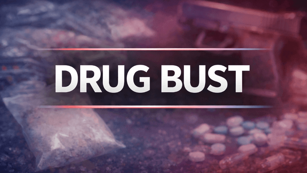 Wayne Co. man charged after police allegedly discover large psilocybin ...