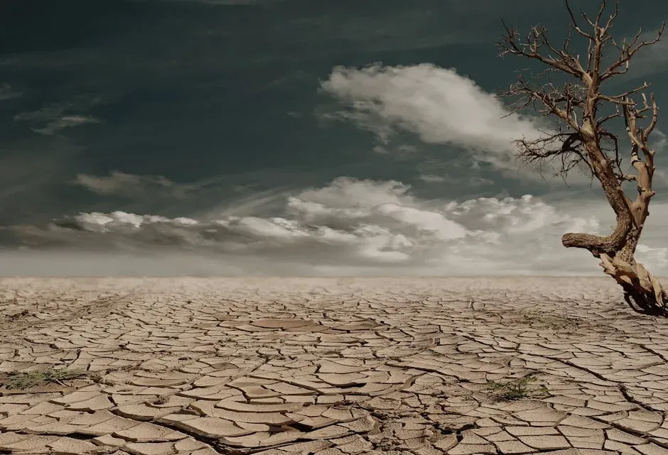 10 phrases climate experts say reveal common environmental misconceptions