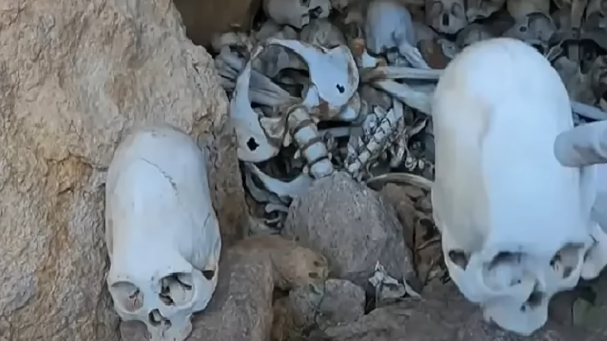 Workers unearthed giant human bones - then the discovery suddenly ...
