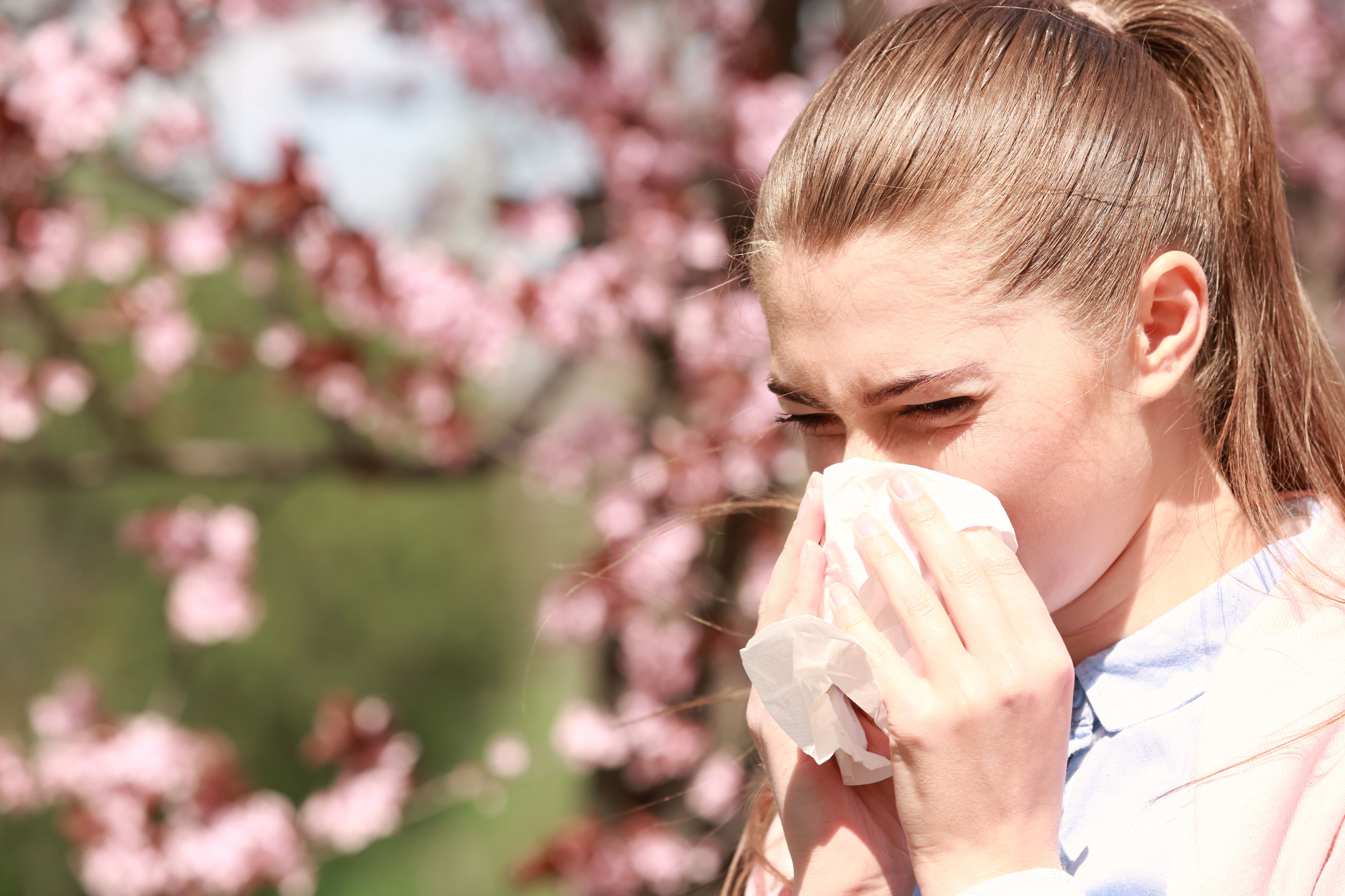 Extreme pollen counts triggering allergies across North Georgia