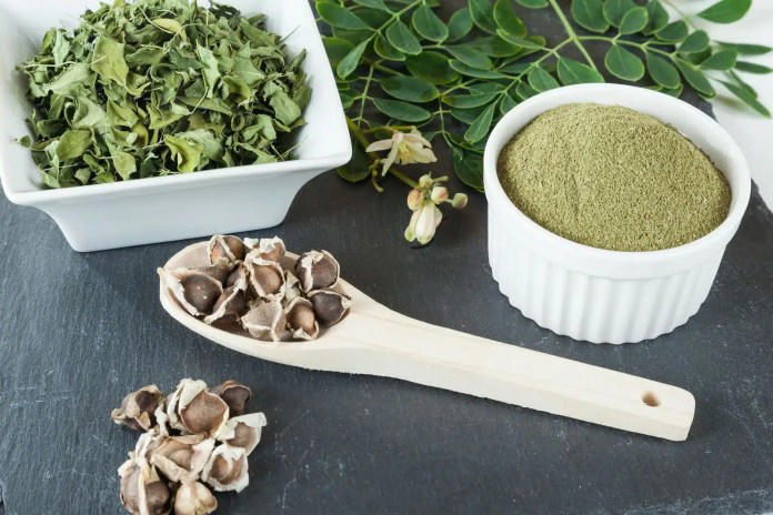 Moringa: beneficios y cómo consumirla en casa