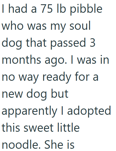 Rescued pit bull scared of everything makes heals her emotional scars ...