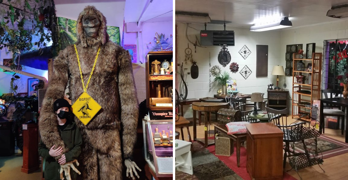 10 mystical Oregon oddities shops that feel like stepping into a ...