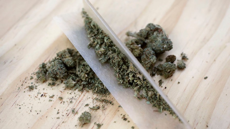 $1.2 million worth of weed found during I-80 inspection