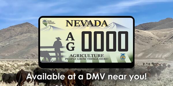 Nevada releases new specialty license plate